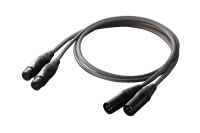 DIGITAL DO MAIN R-2sのニュース/レビューとお買い得情報 - PHILE WEB 製品データベース